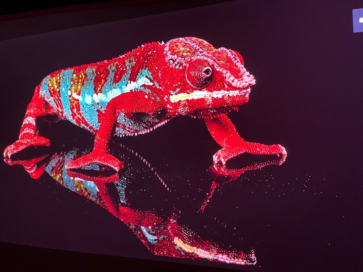Test Valerion VisionMaster Pro 2 : le projecteur triple laser prêt à ...