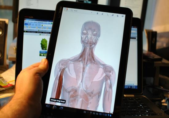 Google Body disponible sur Android, version tablette seulement