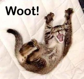 Les mots "woot" et "retweet" intègrent le Concise Oxford Dictionary