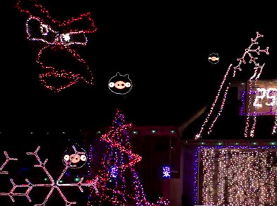 Revue de Web : l'art de se faire enguirlander