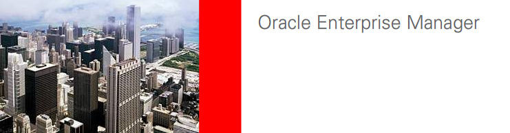 Oracle lance Enterprise Manager 11g