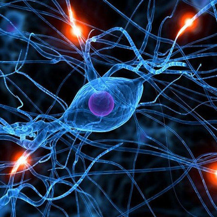 Nectome vous propose d’uploader dans le cloud votre esprit mais…