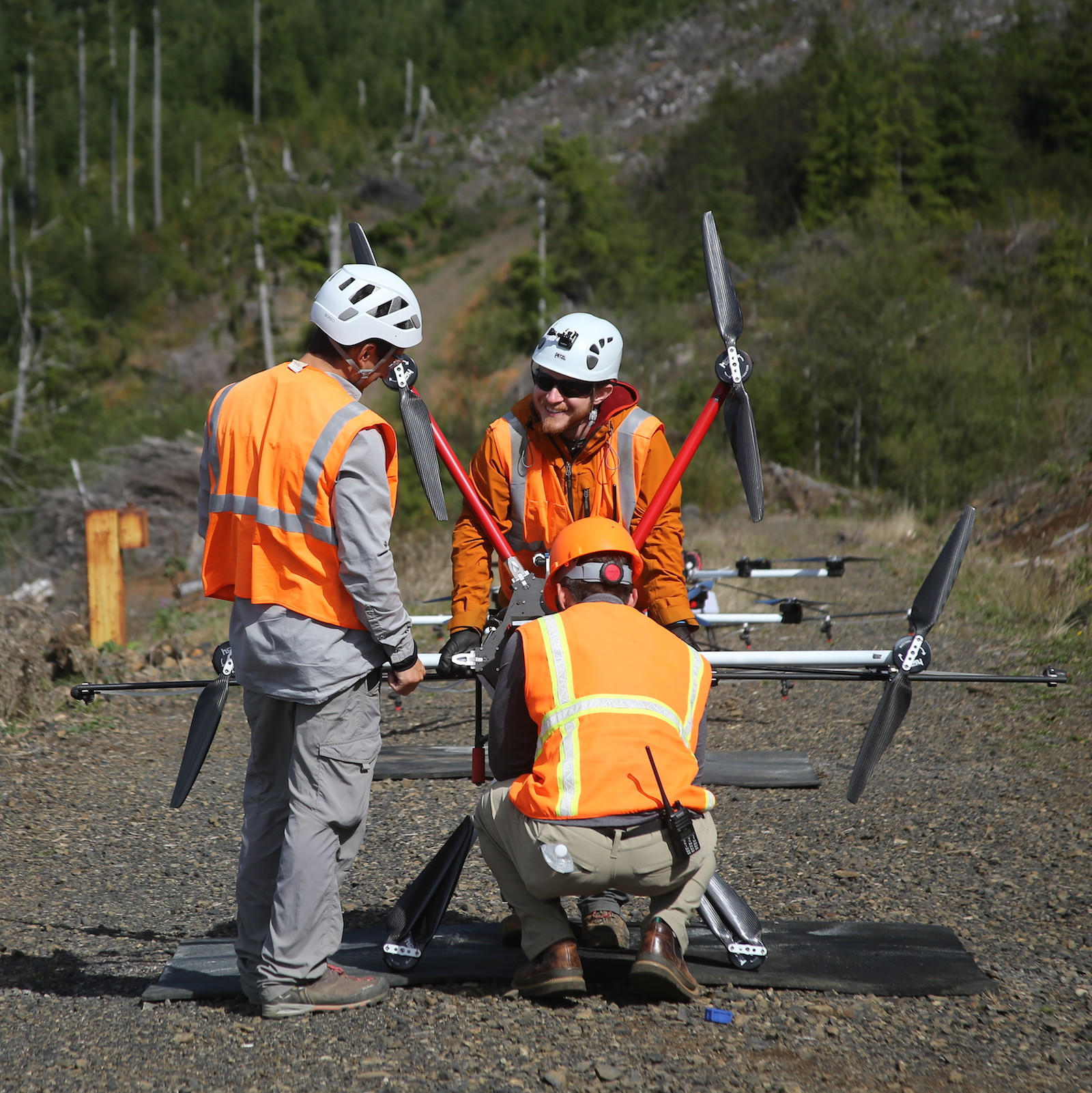 DroneSeed : la start-up américaine qui replante des arbres avec des drones