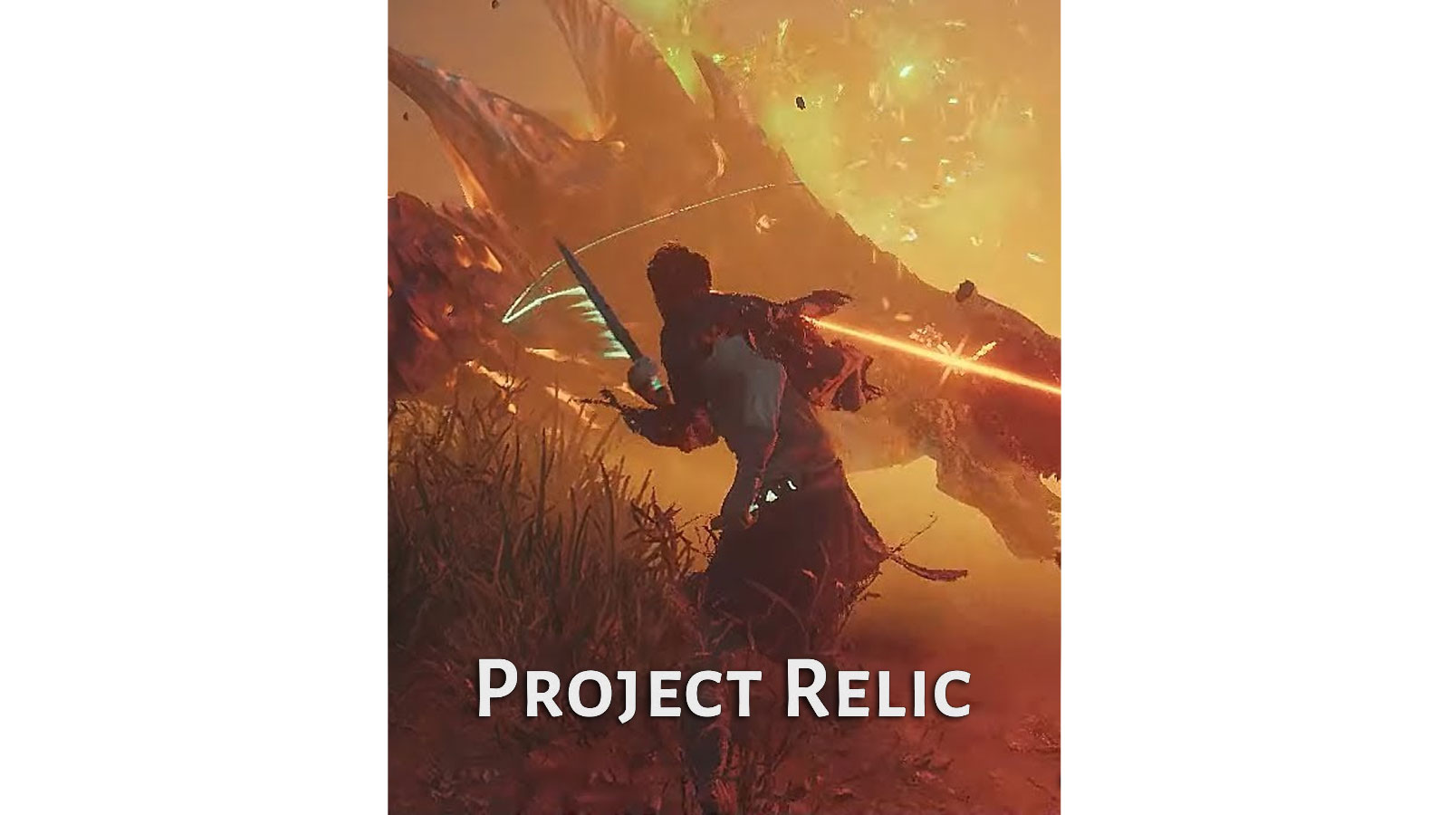 Project Relic
