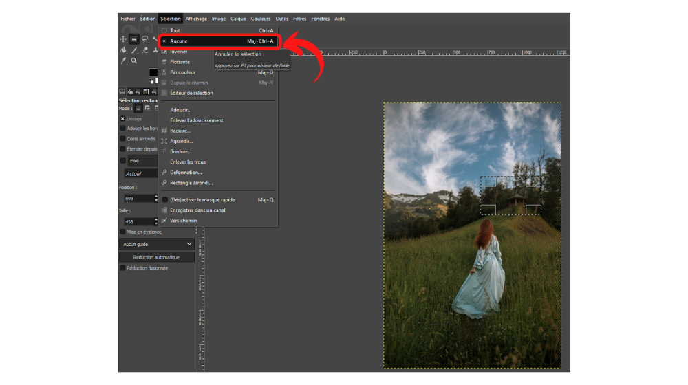 Comment sélectionner et désélectionner un élément dans GIMP