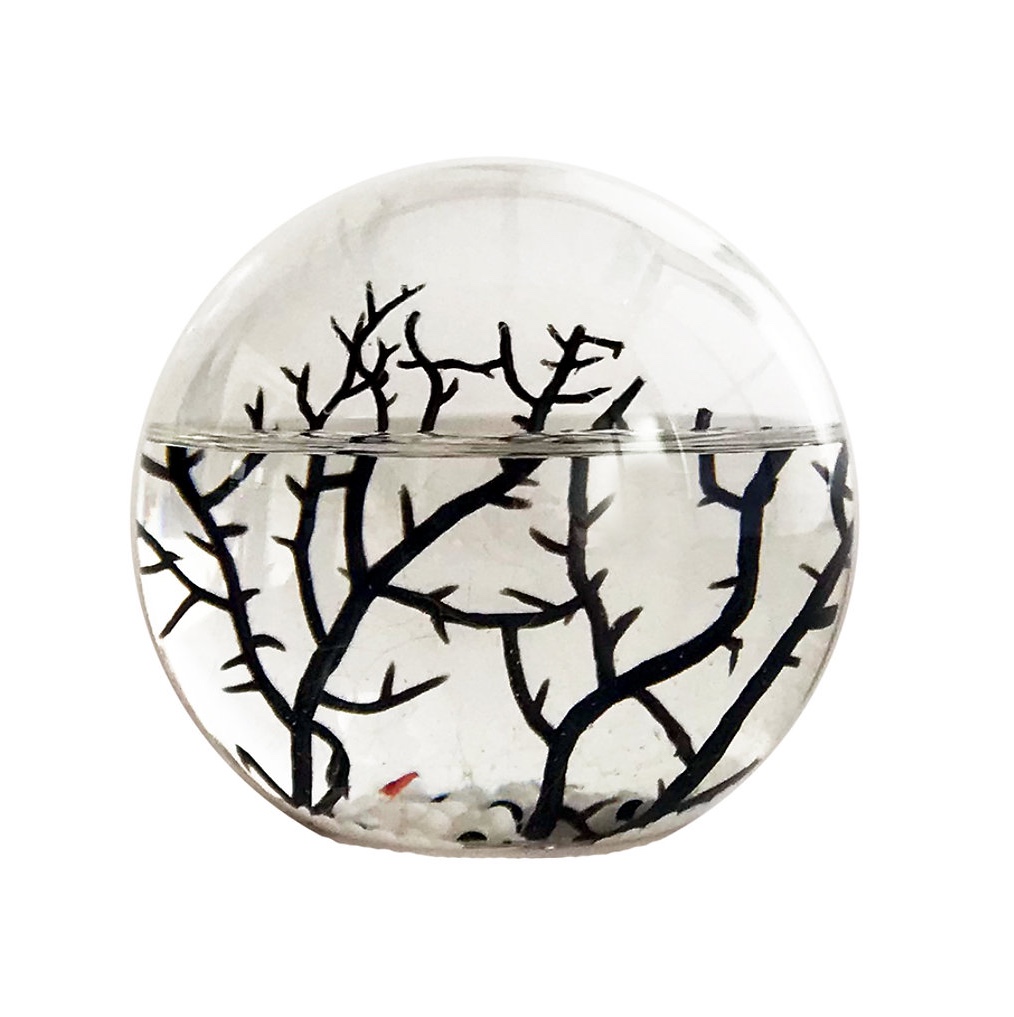 Idée cadeau | EcoSphere : un écosystème complet dans une sphère
