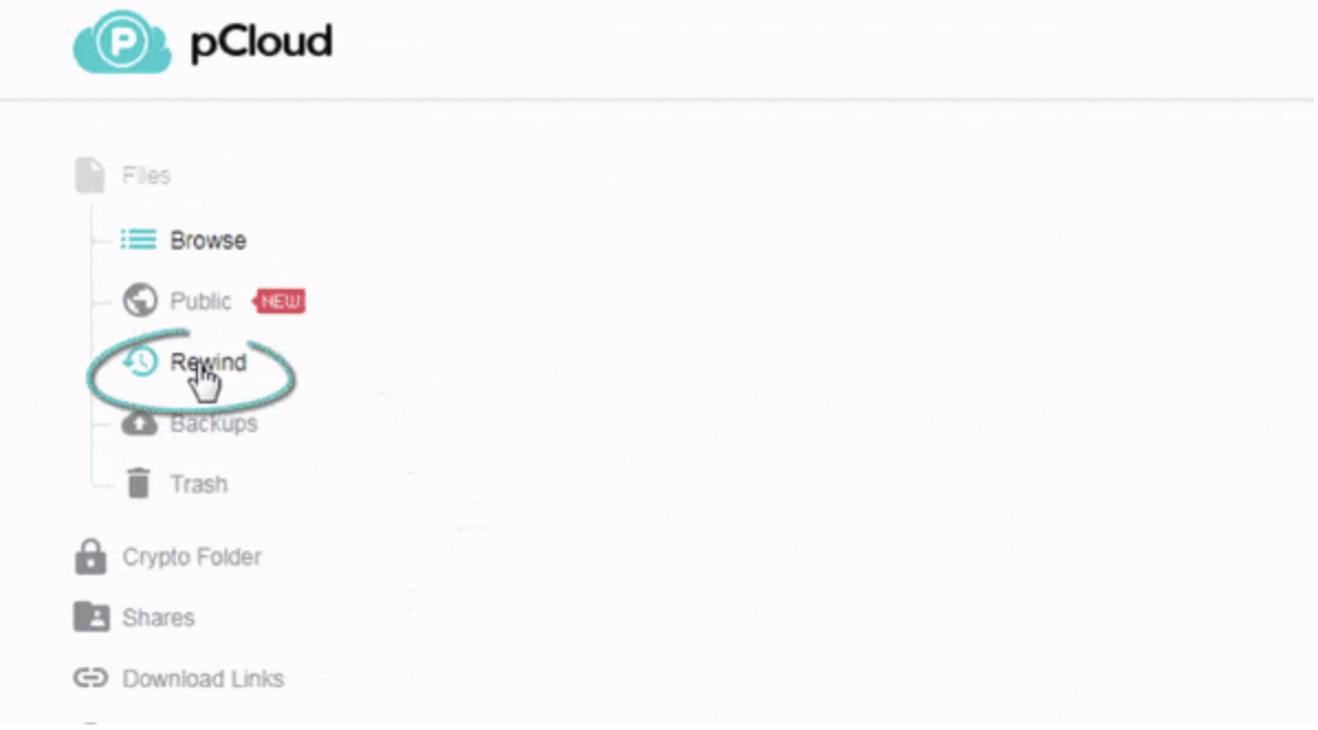 Zoom sur la fonctionnalité pCloud Rewind