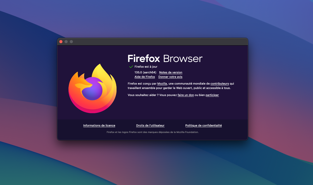 Firefox 135 : IA, sécurité, performances… les nouveautés à ne pas manquer