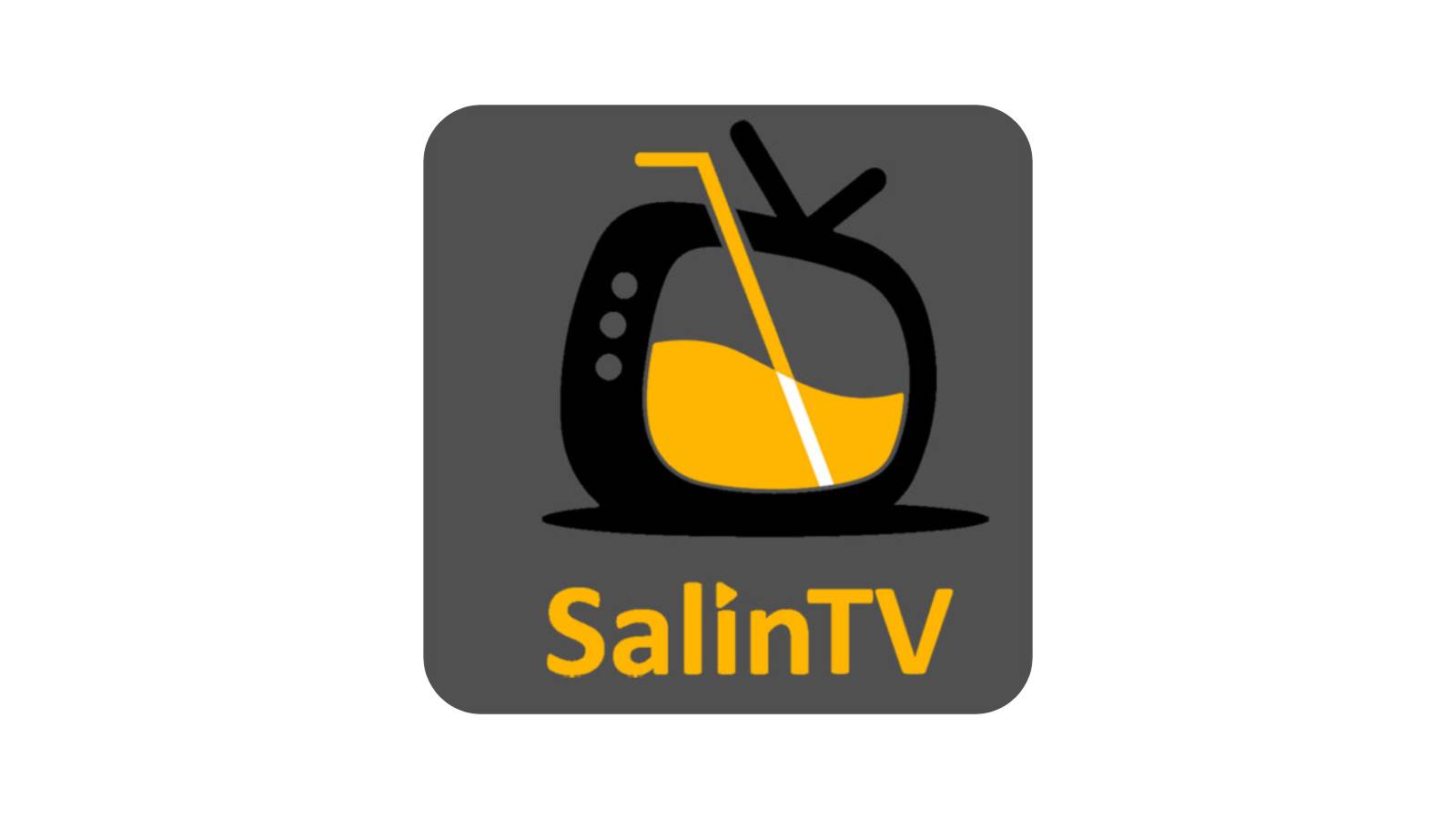 Télécharger Salin TV (gratuit) Android, Web - Clubic